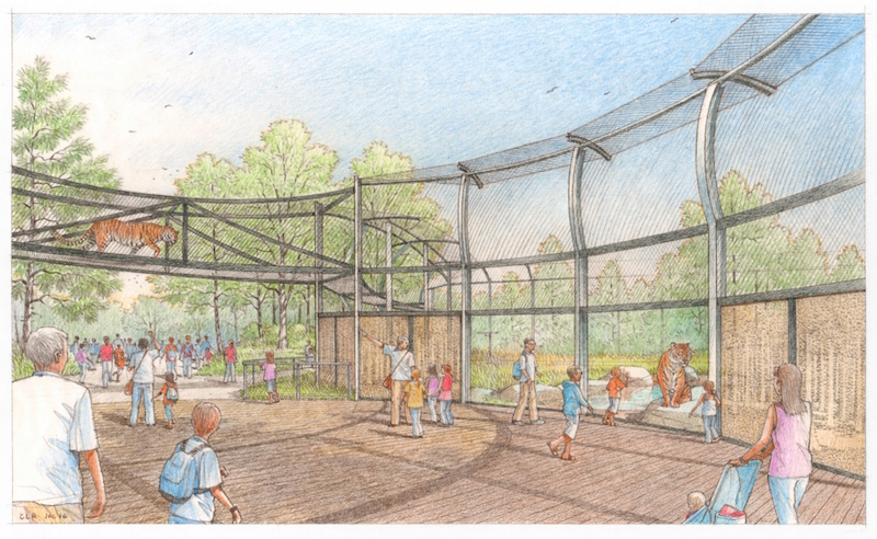 Ideas for City Zoo | Fandom