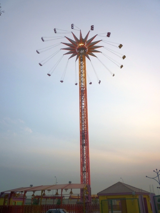 Vertical Swing Blooloop