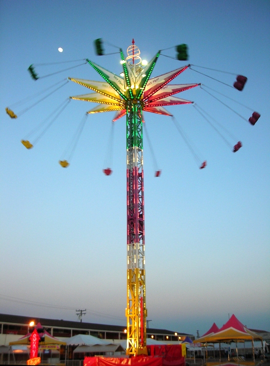 Vertical Swing Blooloop