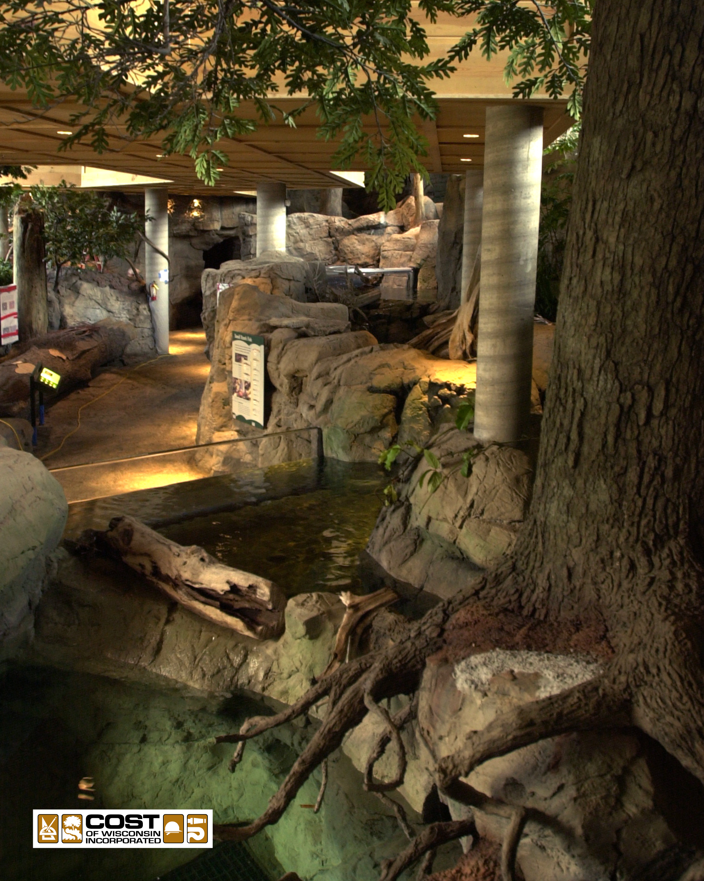 Aquarium Design Blooloop
