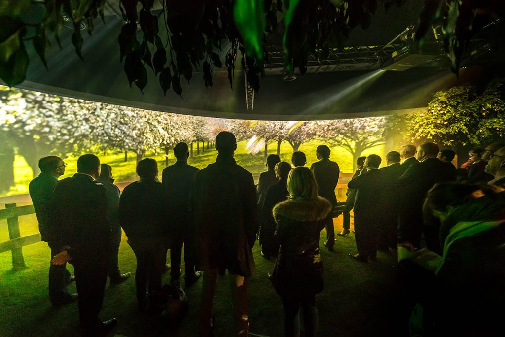 EXPERIENCES Blooloop