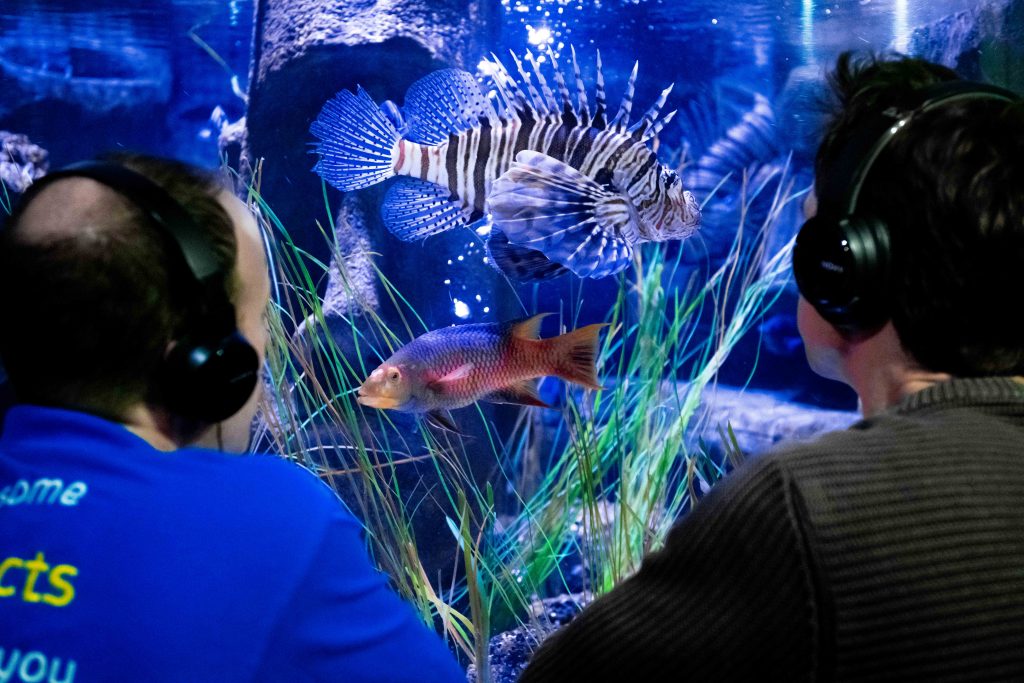 SEA LIFE London Aquarium gets fish choir to sing Jingle Bells | blooloop